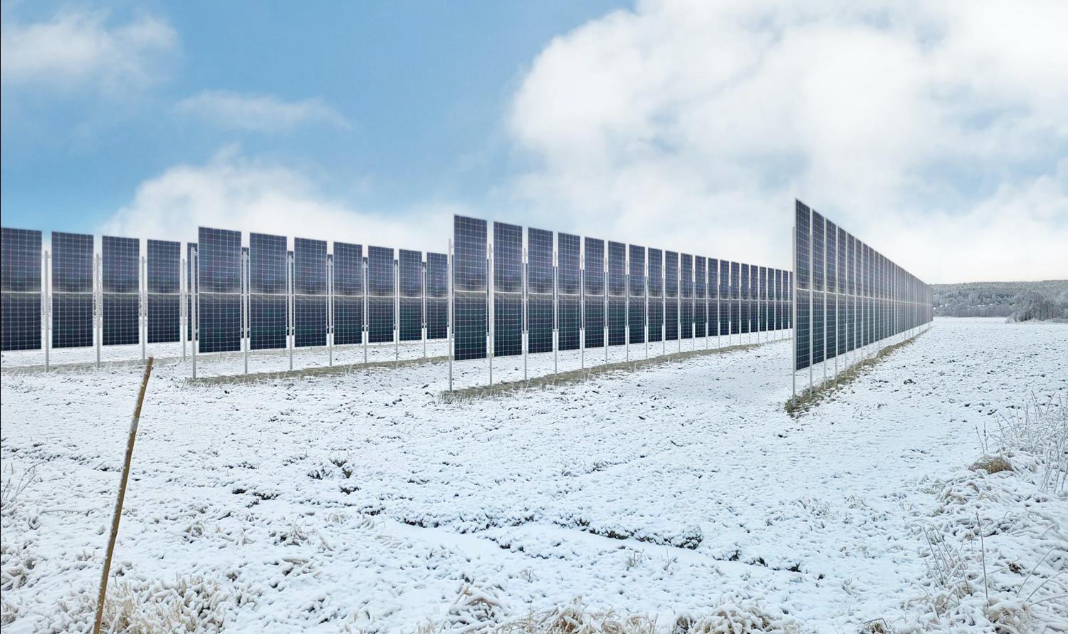 Norrbotten's largest solar park planned in Alvik