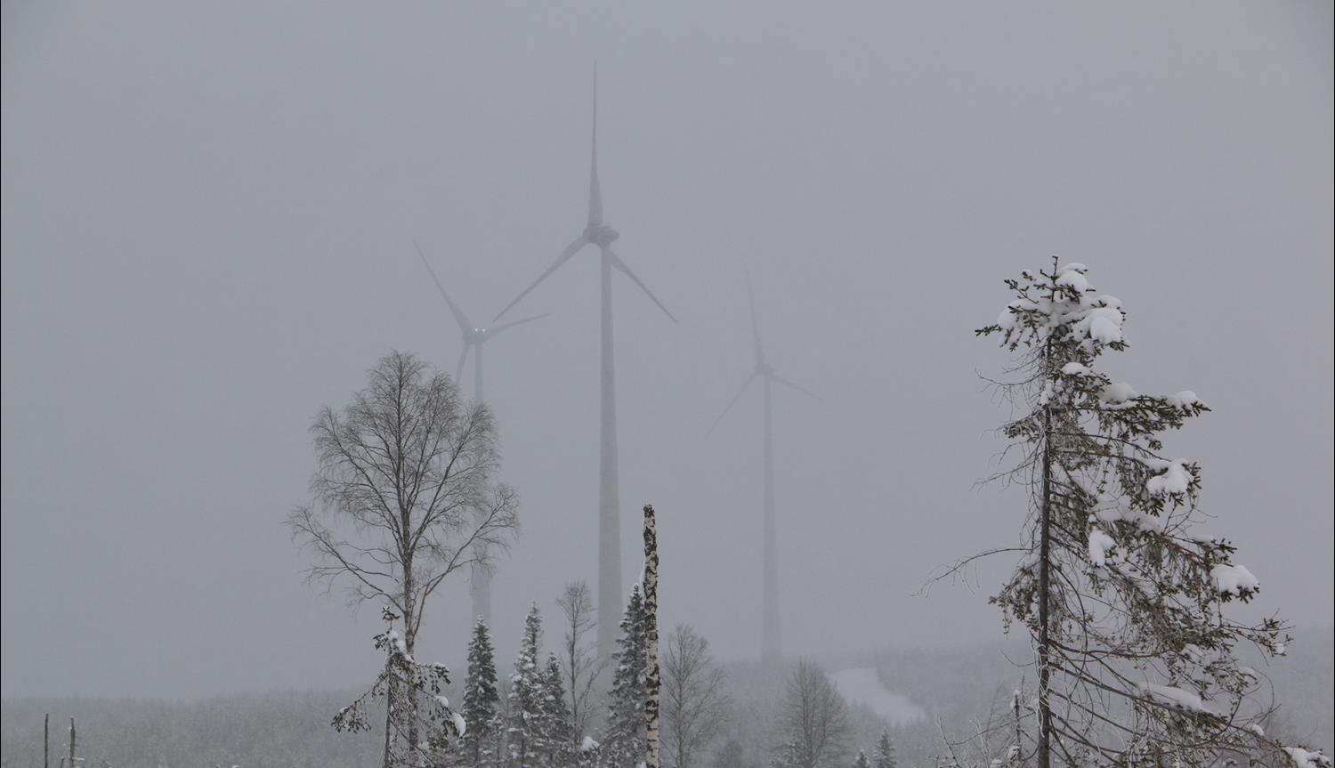Sweden's largest wind farm faces bankruptcy